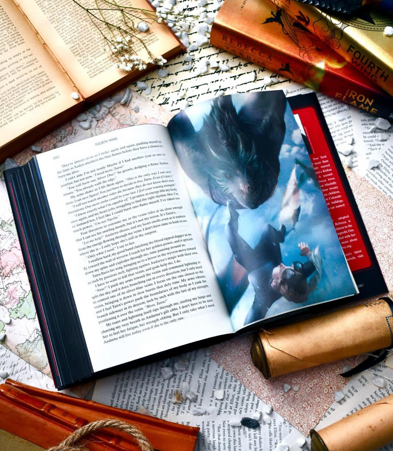 Fourth Wing Page Overlays™ – Reading Portal